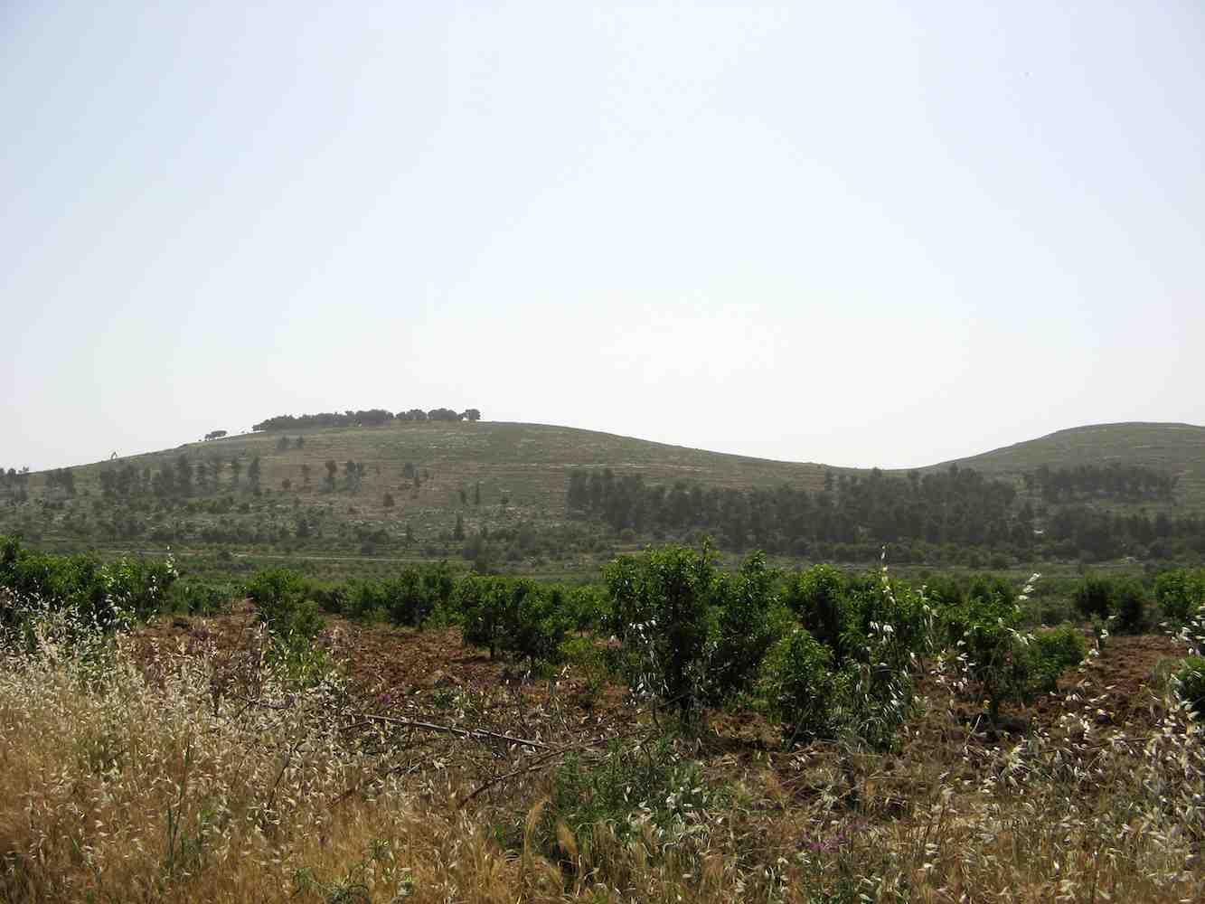 Beit Ummar – Palestine – Ibrahim Abu Ayyash